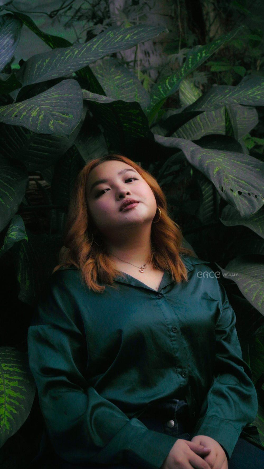 Just photos and drawings - ERCE Visuals